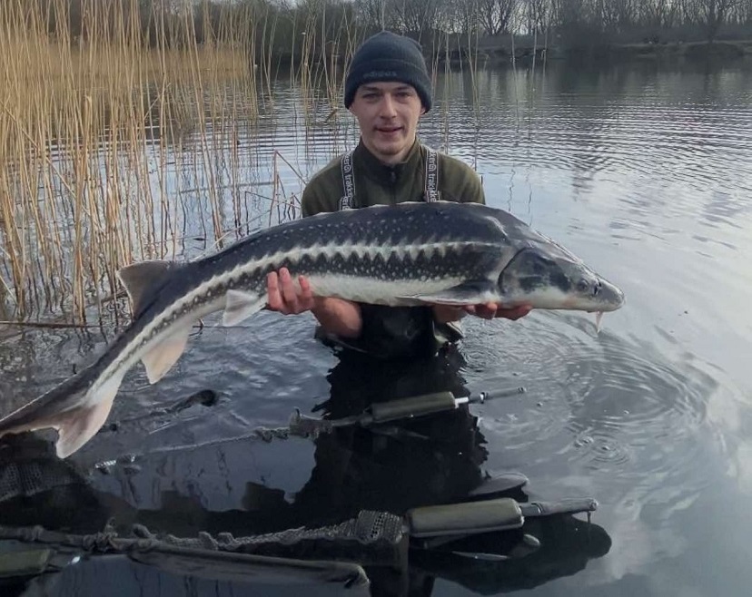 Spring View Fisheries – Spring View Fisheries features 3 well stocked ...