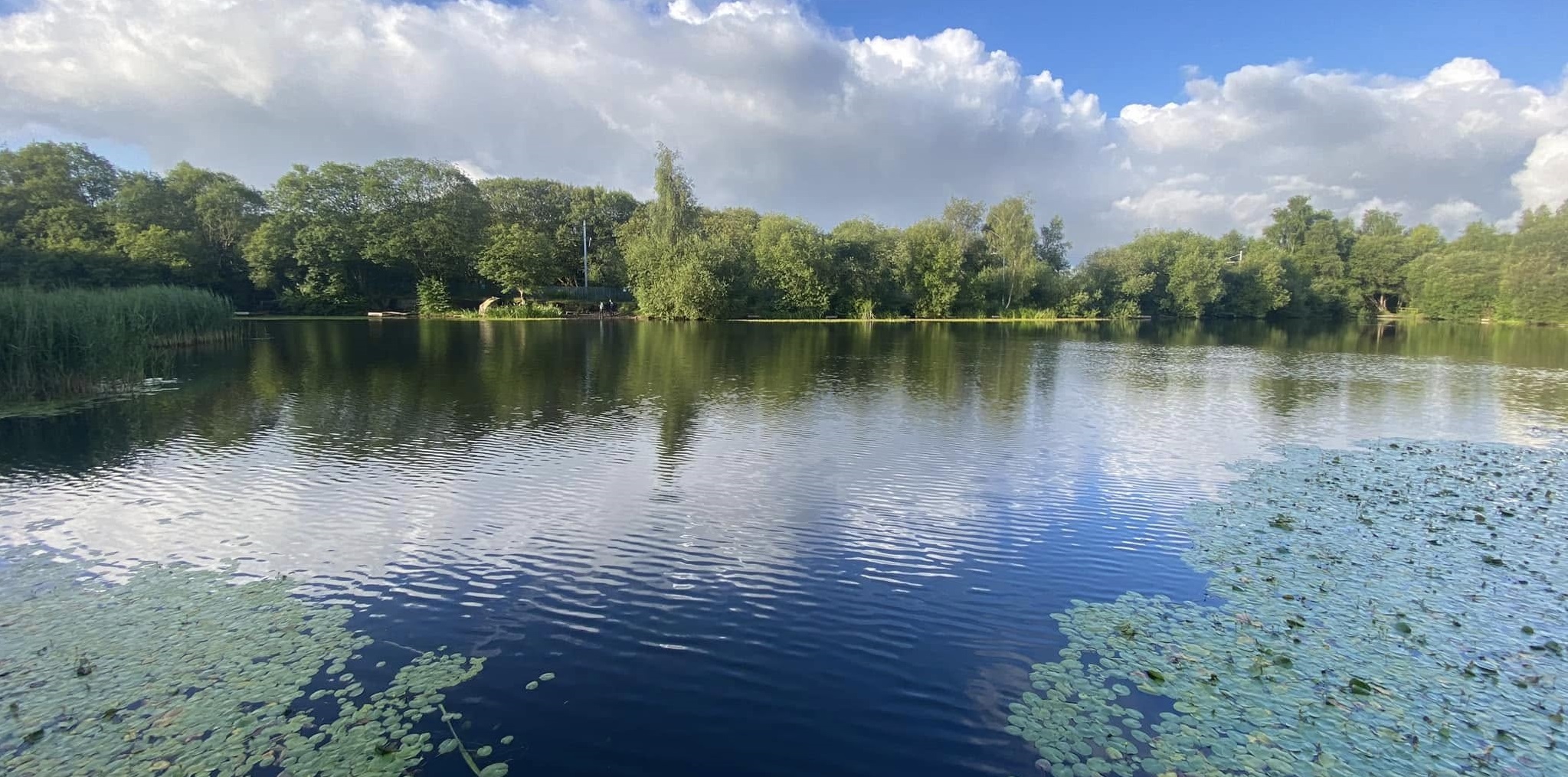 Spring View Fisheries – Spring View Fisheries features 3 well stocked ...