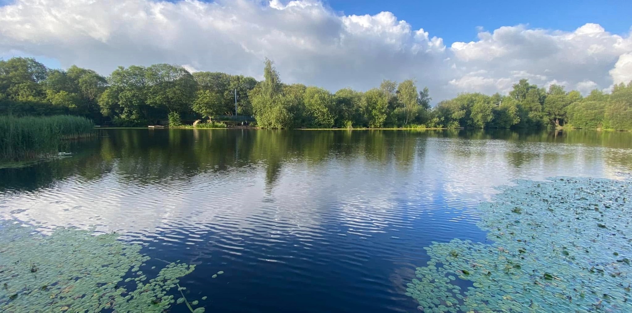 Spring View Fisheries – Spring View Fisheries features 3 well stocked ...